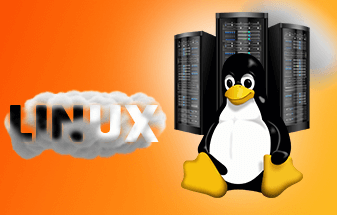 Linux-Based VPS - Virtual private server!
