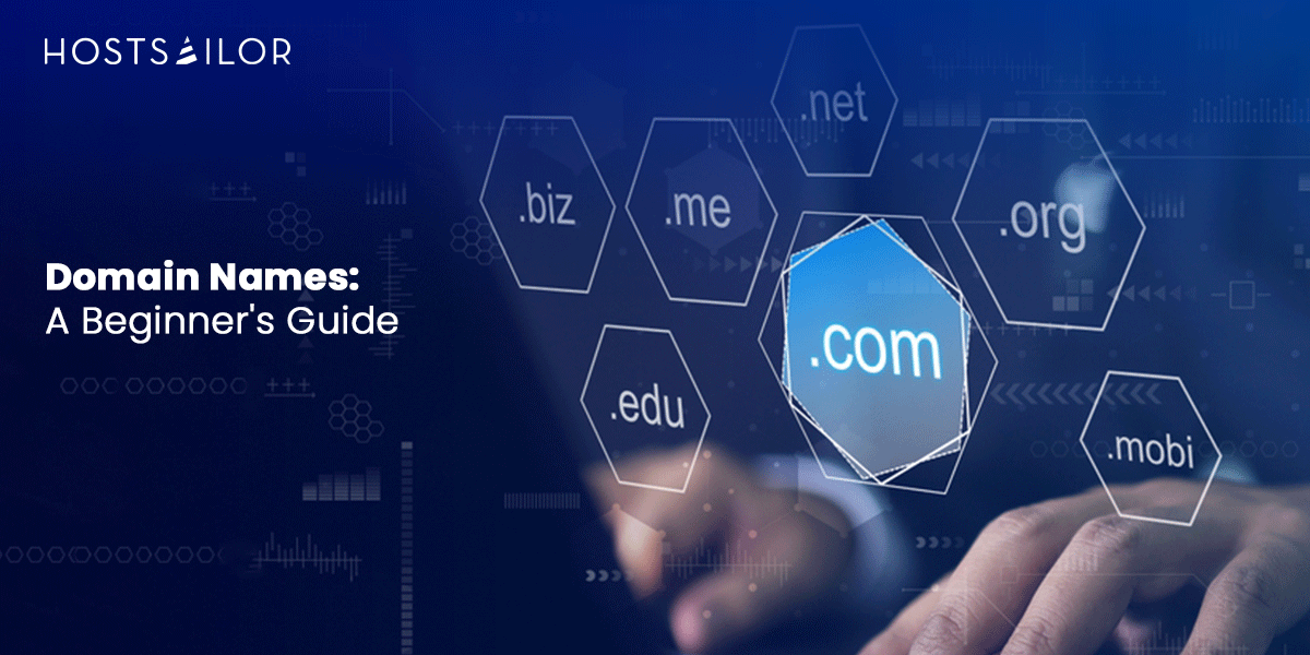 Domain Names: A Beginner's Guide